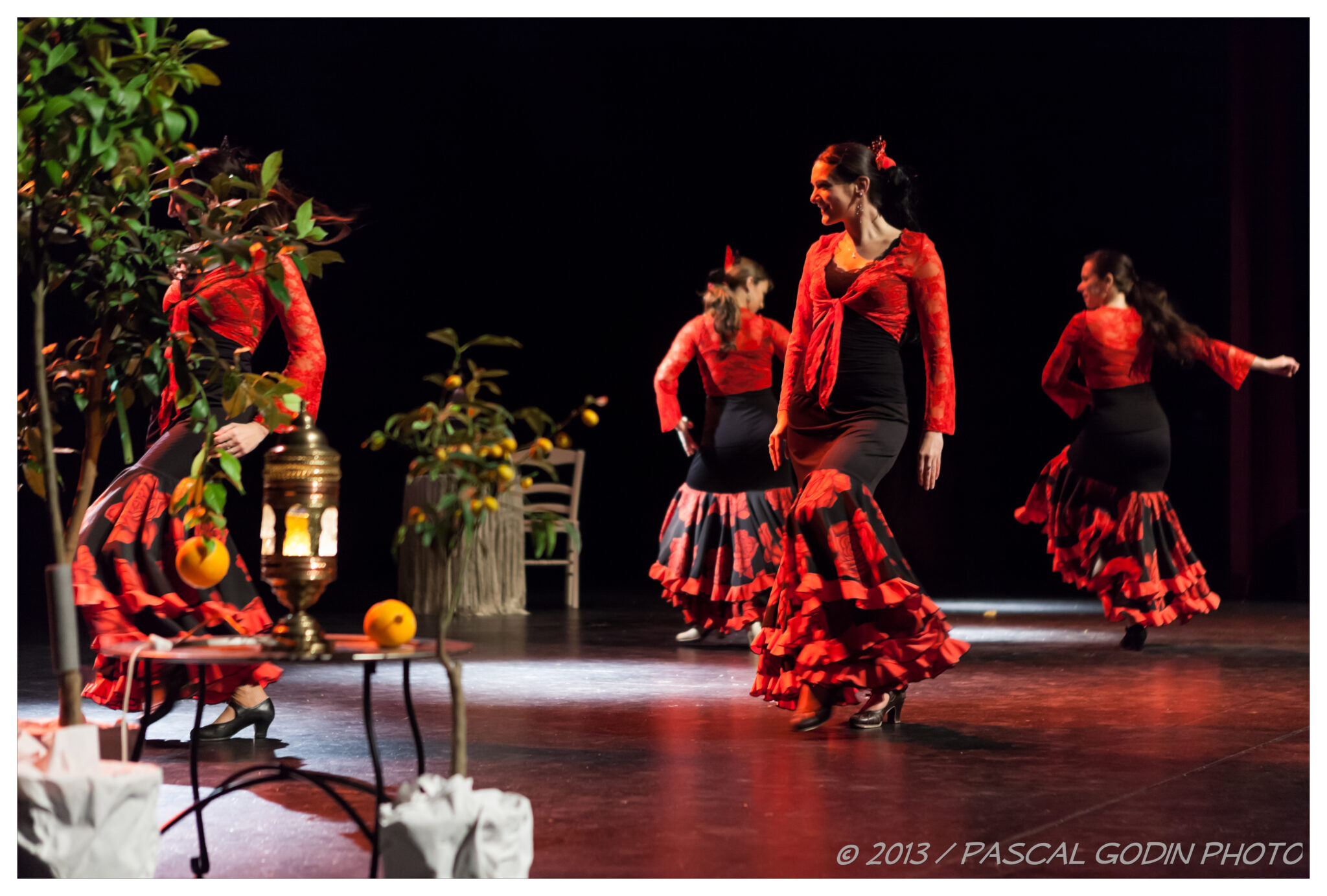 Galerie photos et vidéos de spectacles de flamenco