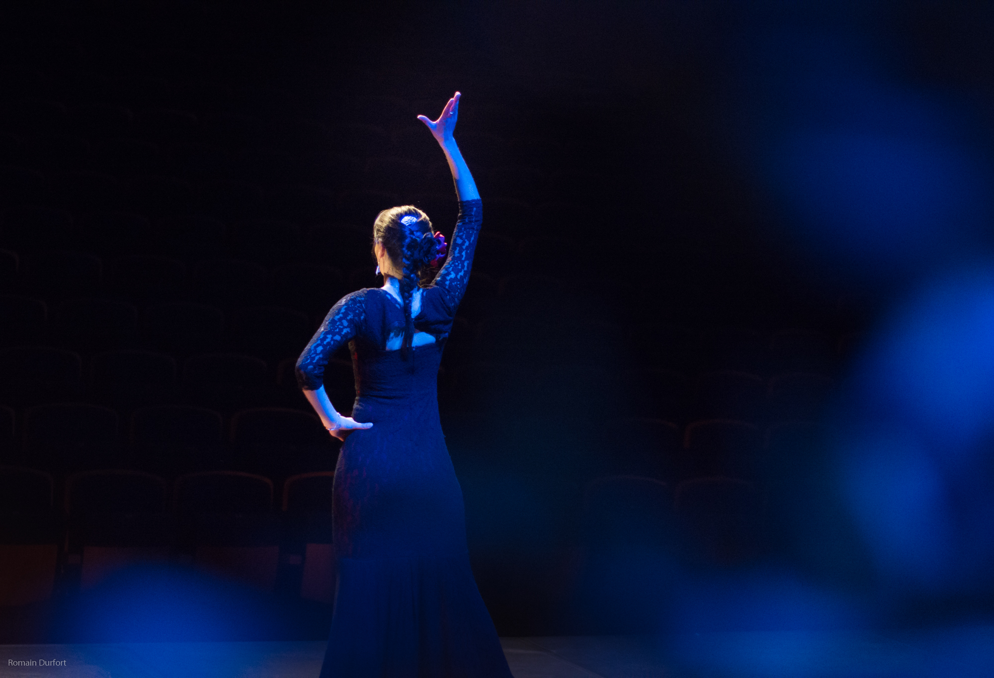spectacles de Flamenco 37